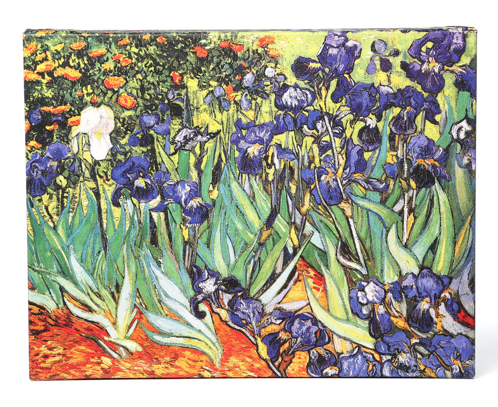 Irises By Vincent Van Gogh at Harrison Fitch blog